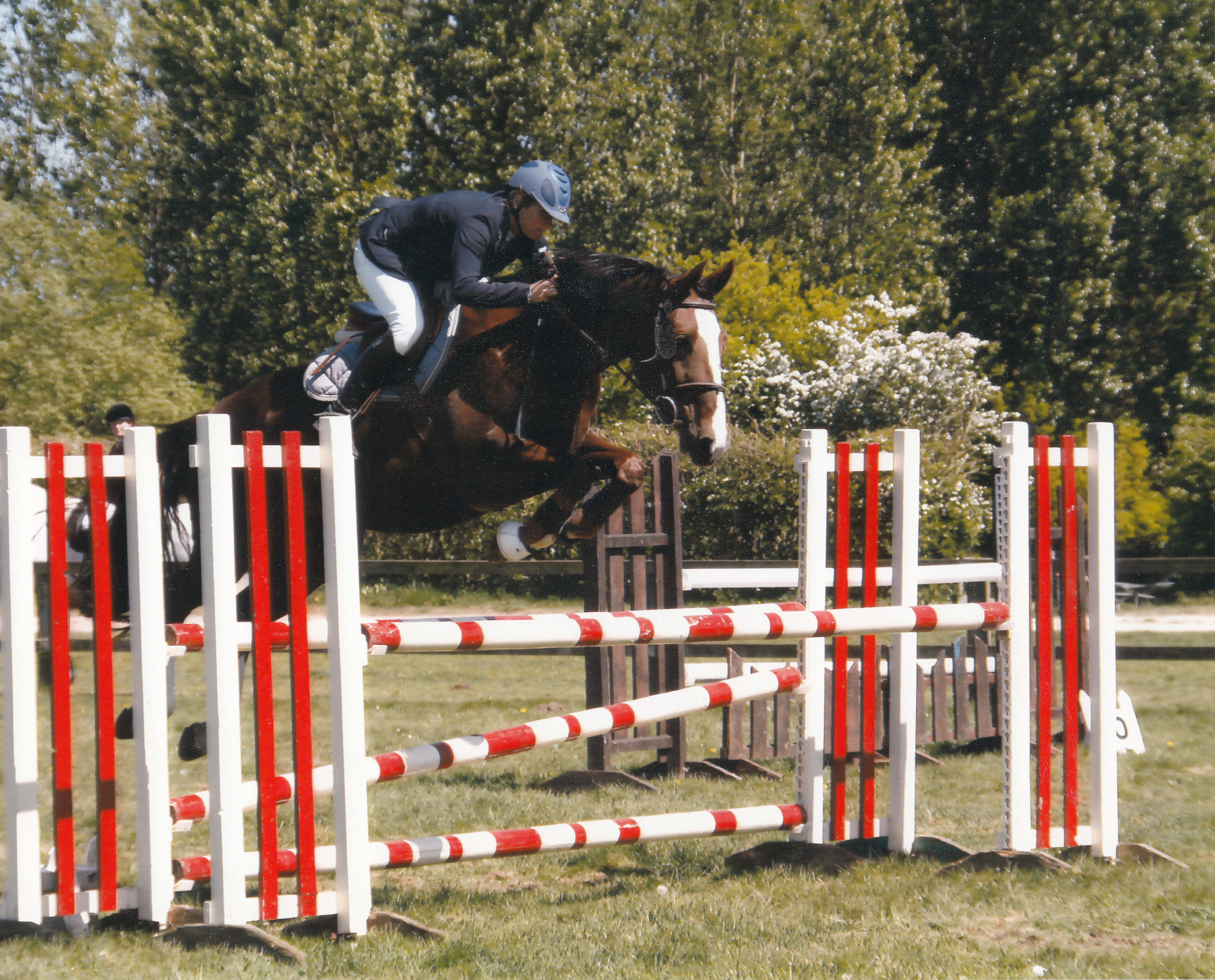 QT BSJA_0001 – Wodehouse Stud & Equestrian centre