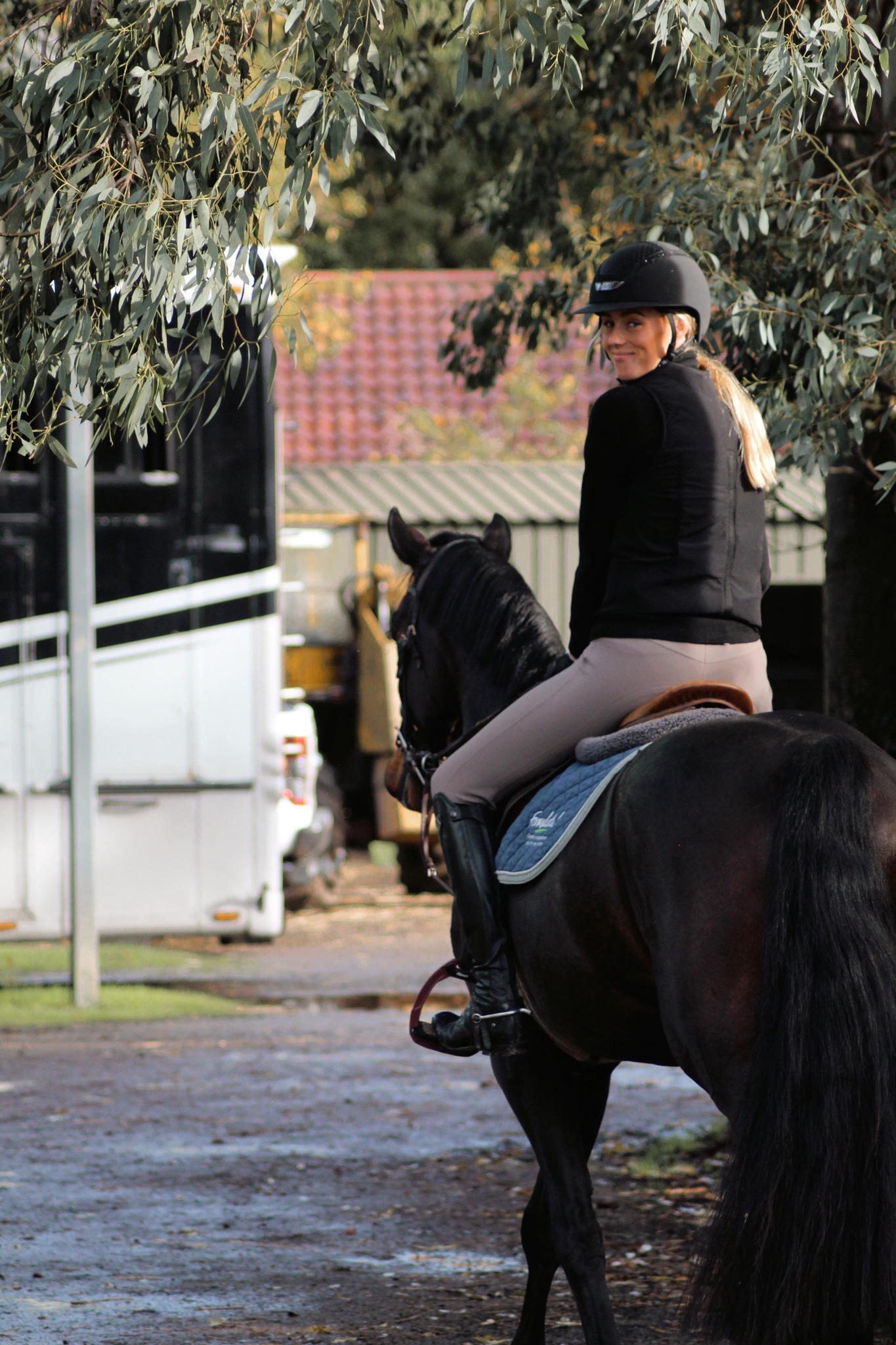 Facilities – Wodehouse Stud & Equestrian centre