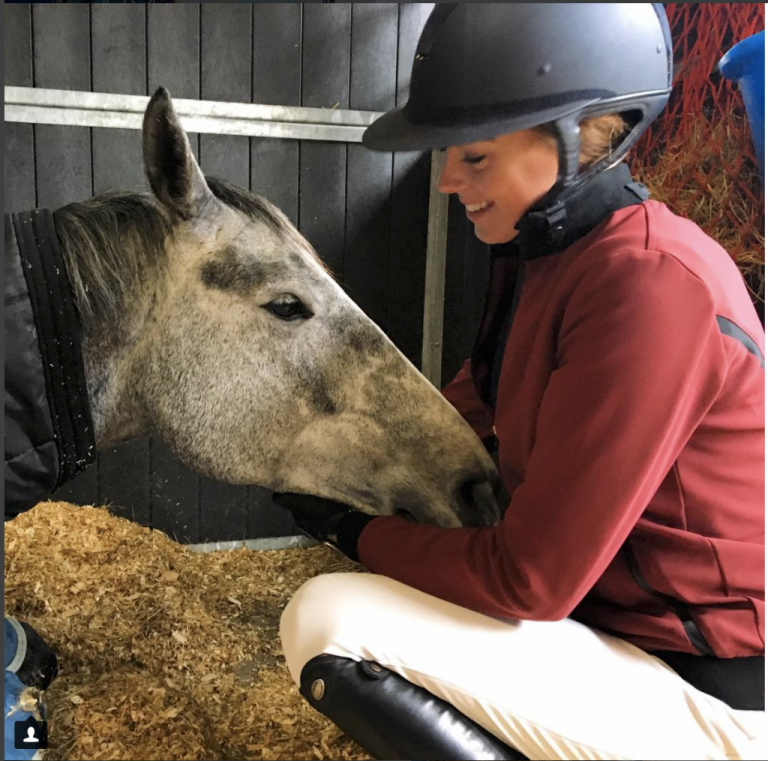 Billy Colman sold to Norway – Wodehouse Stud & Equestrian centre